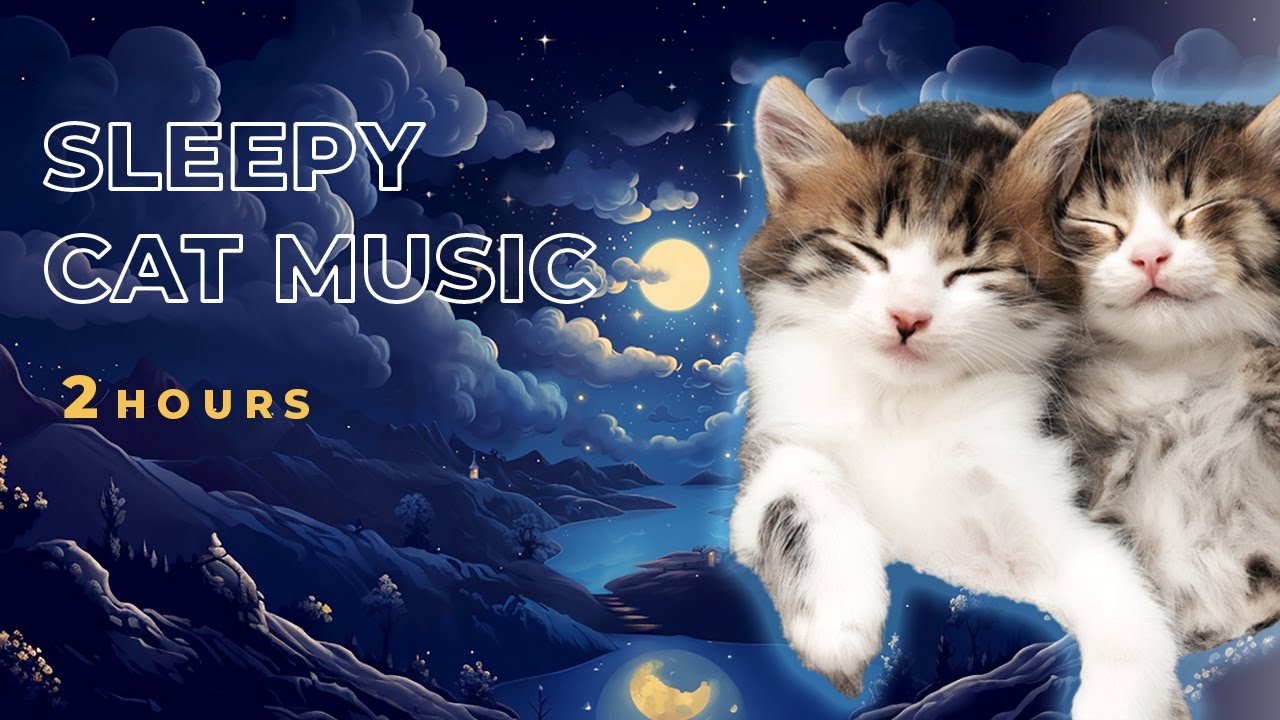 2 Hours of Sleepy Kittens | RELAXING CAT MUSIC | Sleep Music For Cats ...