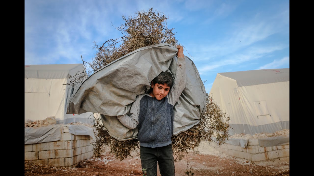 The Scatter Hoard - Episode 4 RESILIENCE - YouTube