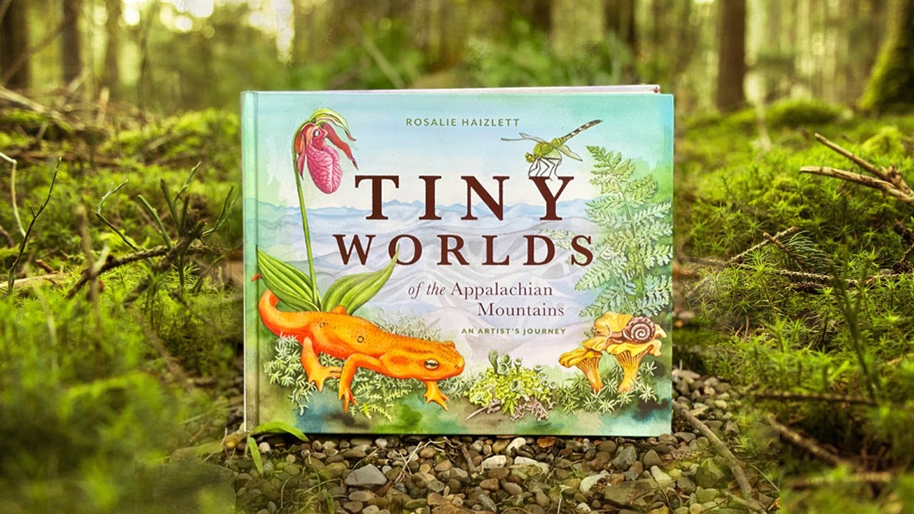 Book Reveal: "Tiny Worlds of the Appalachian Mountains" by Rosalie ...