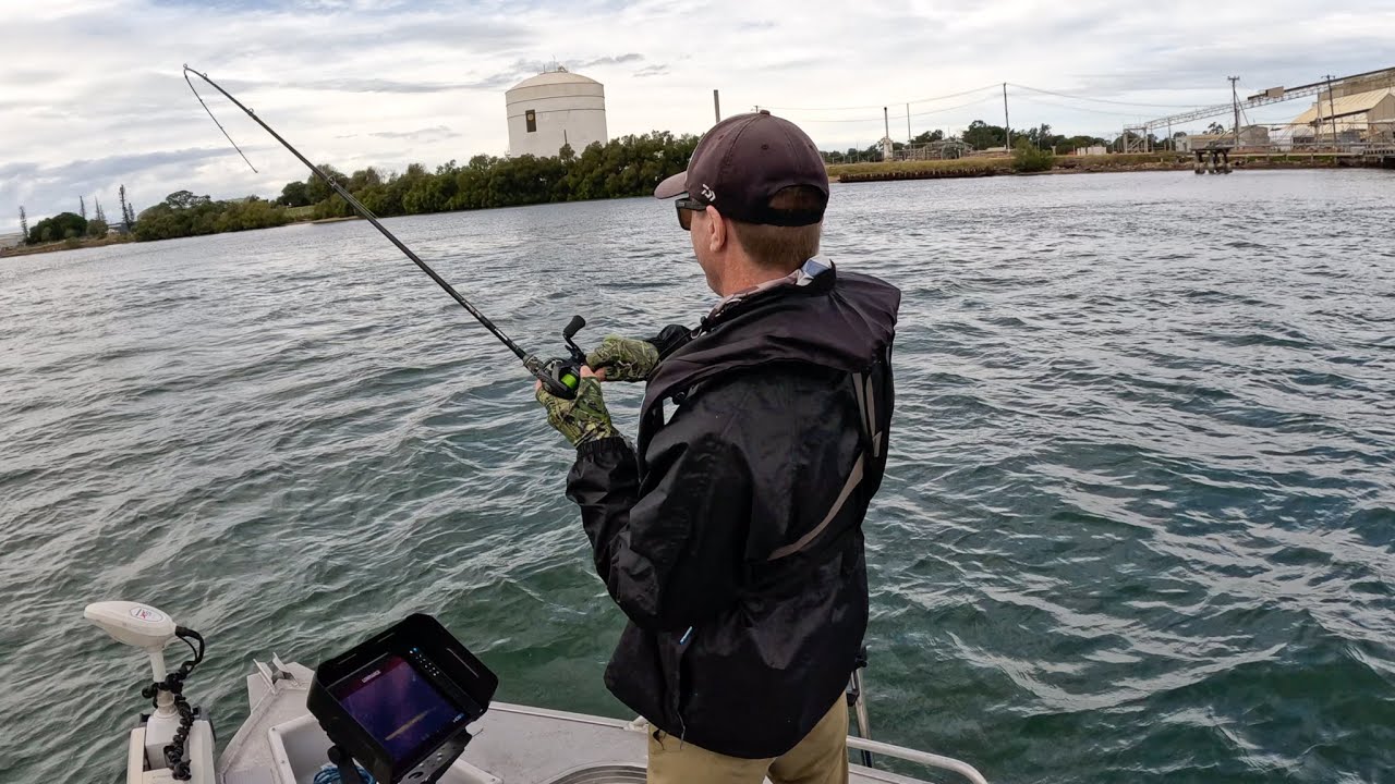 The River is Full of These Fish! - Brisbane River Fishing - YouTube