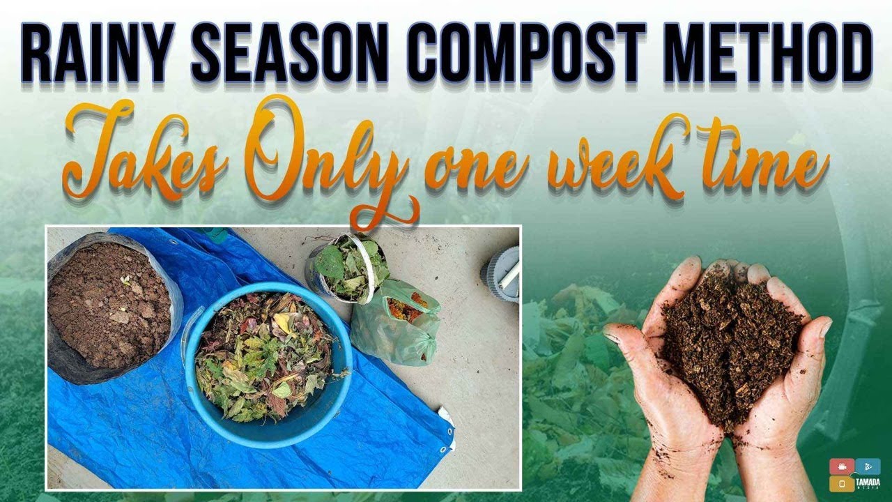 వర్షాకాలంలో కిచెన్ వేస్ట్ ఇలా వాడుకుంటే వారంరోజుల|నుంచే మొక్కలకు ...