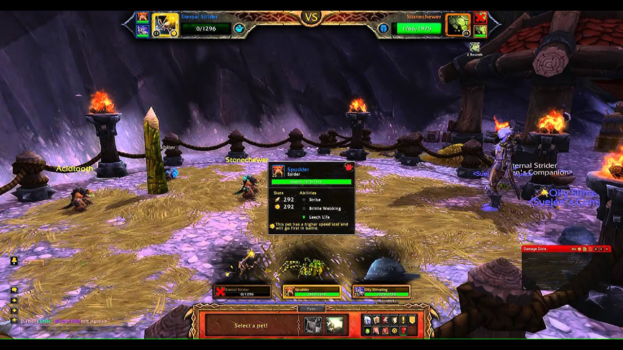 rockbiter, Stonechewer and Acidtooth garrison pet battle in World of ...