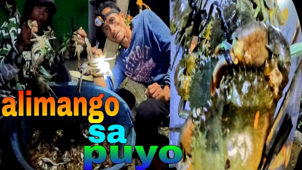 EP475:PART1- PAMAMANDAW SA GABING MADILIM - YouTube