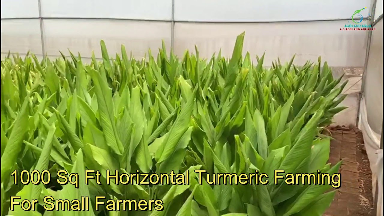 1000 Sq Ft Horizontal Farming 2 - YouTube