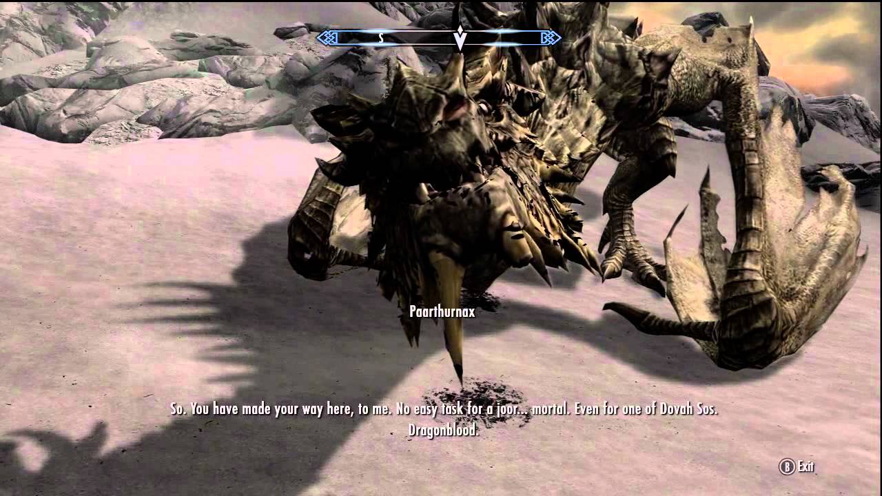 Elder Scrolls V: Skyrim part 24: The head of the Greybeards.. woah ...