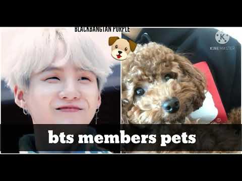 💜Bts members pets || with full information👌