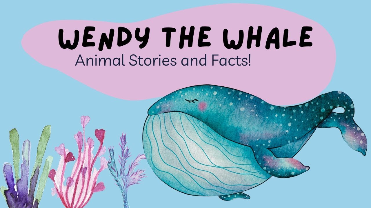 Animal Stories and Facts for Kids | Wendy the Whale - YouTube