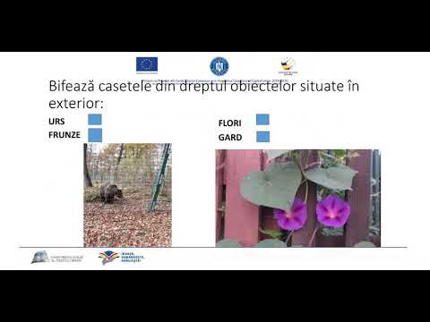 Matematica Pozitii ale obiectelor - YouTube