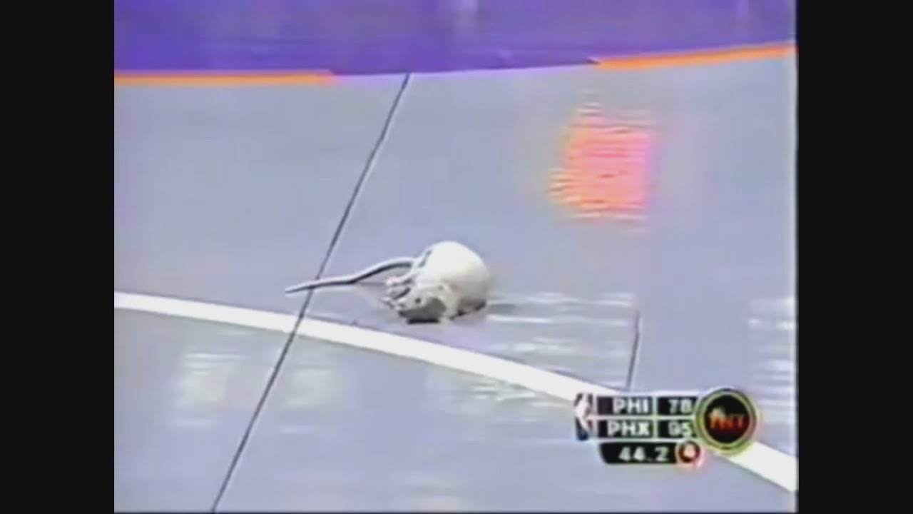 Fan throws a rat on the floor, Phoenix Suns 2003. - YouTube