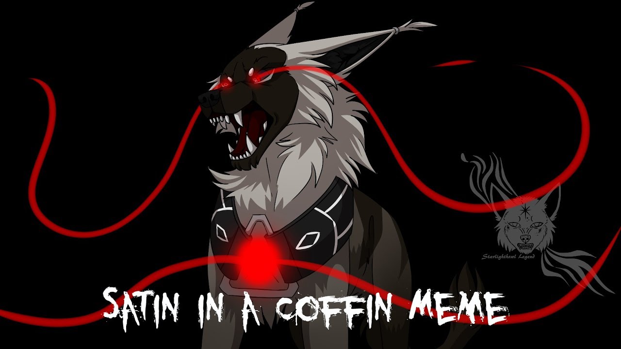 Satin in a Coffin - Meme (Blood Warning) - YouTube