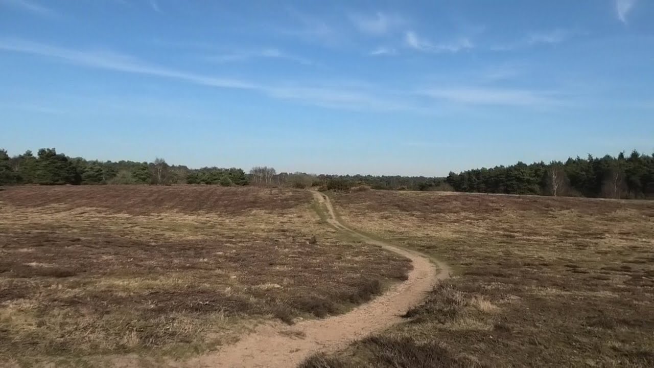 Ramblers' Routes: Sandlings Walk 4, Sutton, Suffolk. 6/3/25 - YouTube