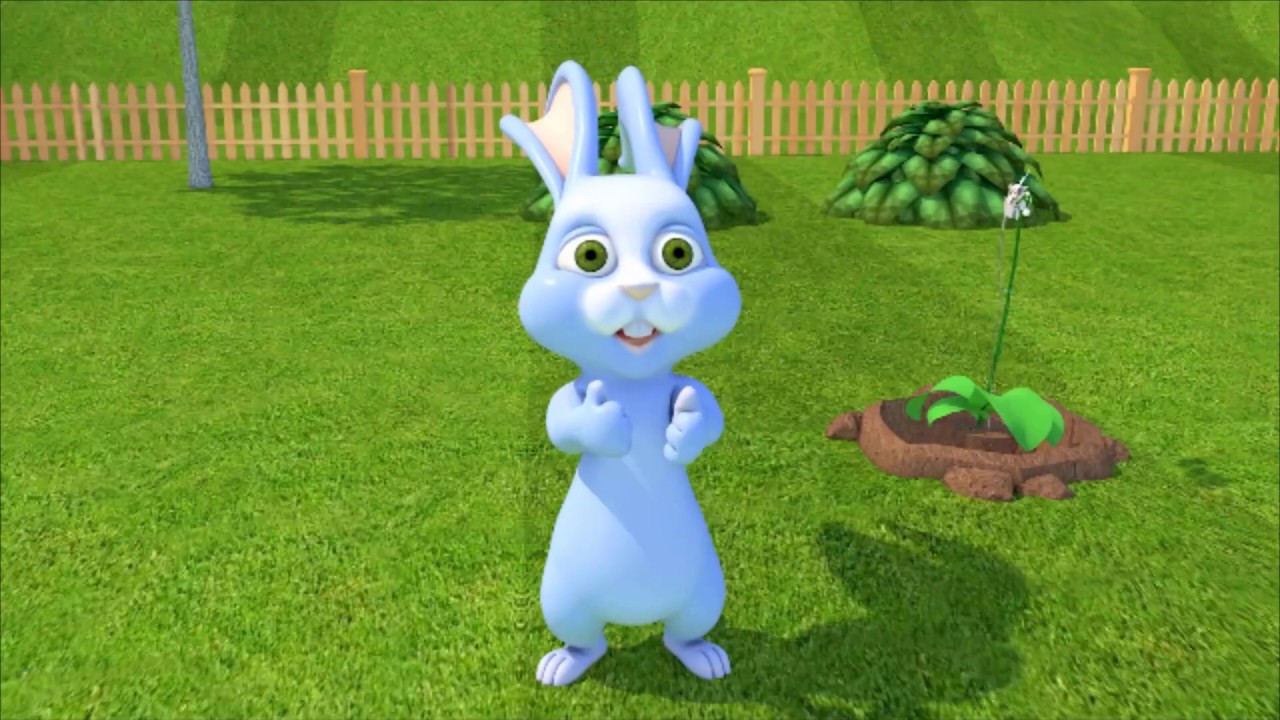 Baby learns colors with my little bunny # 4 - YouTube