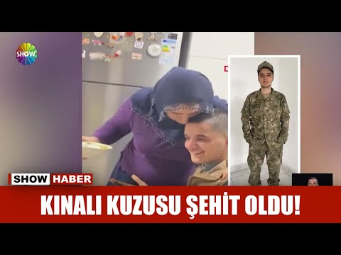 Kınalı kuzusu şehit oldu!