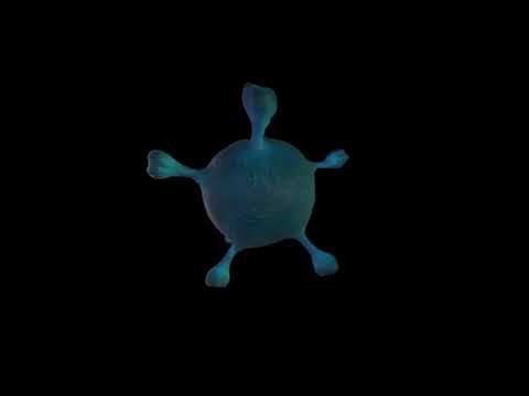 THX 4K Display trailer: The Coronavirus (AKA COVID-19) - YouTube