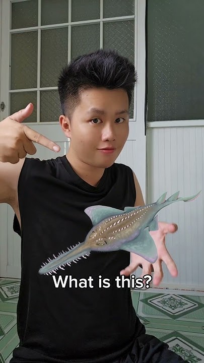 What is this? (P218) - YouTube
