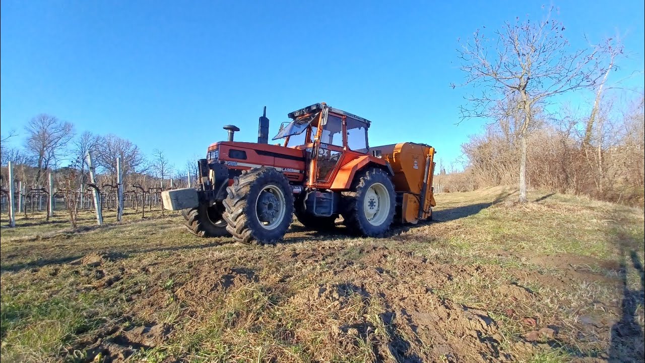 RACCOLTA TRALCI CON RACCOGLITRICE BERTI E SAME LASER 100 - YouTube