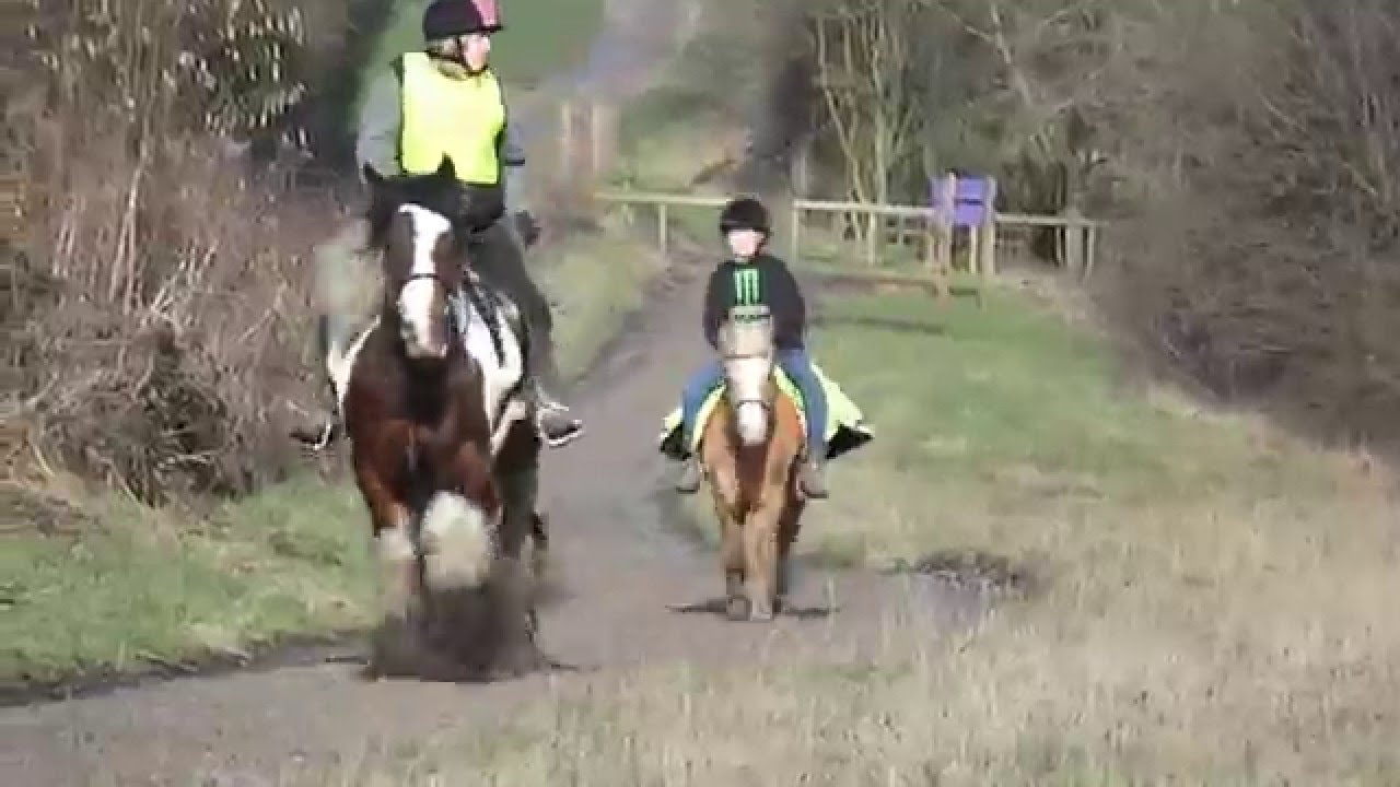 Tibshelf canter track 2 - YouTube