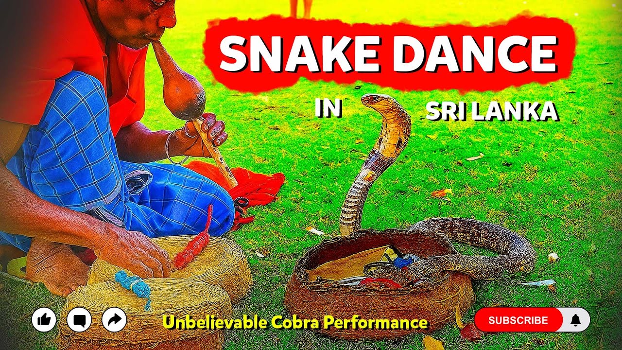 SNAKE DANCE in Sri Lanka 🇱🇰 | Mind-Blowing Cobra Performance You’ve ...