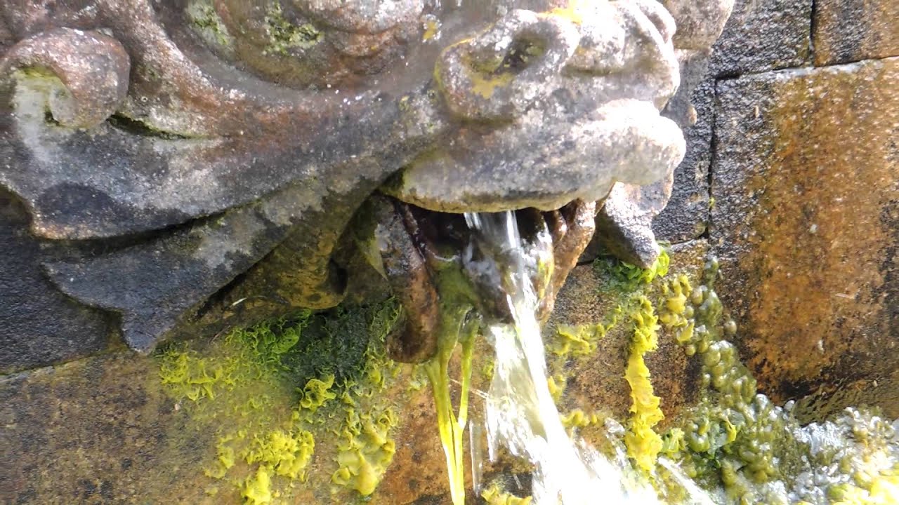 Nikon Coolpix P310 Test Video With Optical Zoom