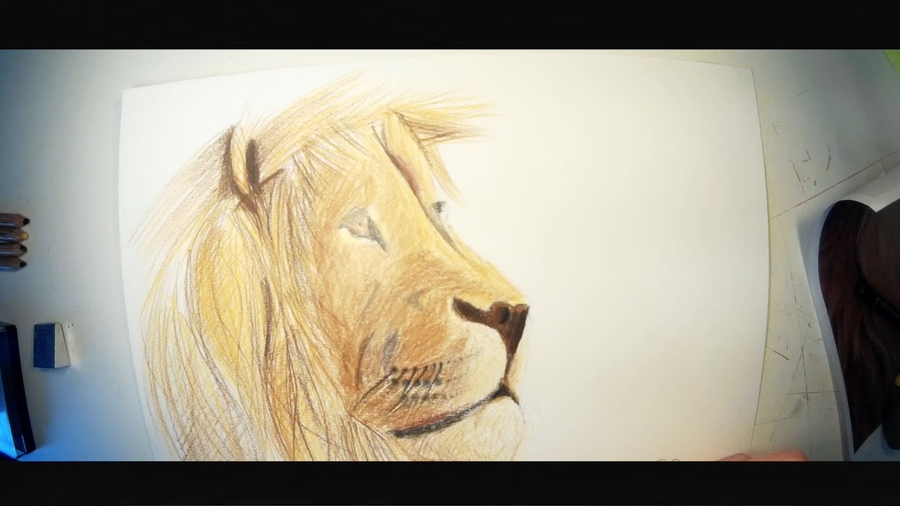Eloi - DRAWING LION - YouTube