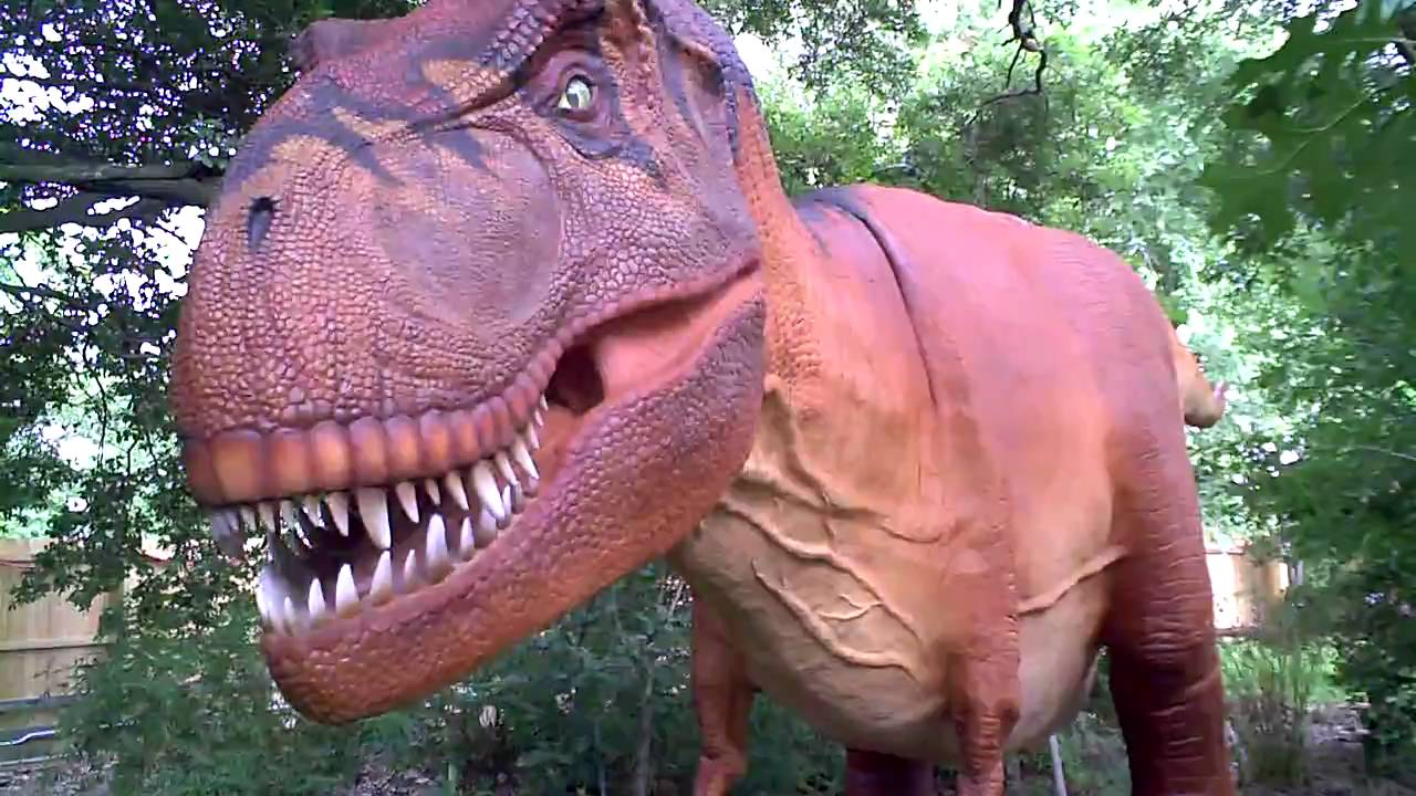 Avery meets a T-Rex at the zoo - YouTube