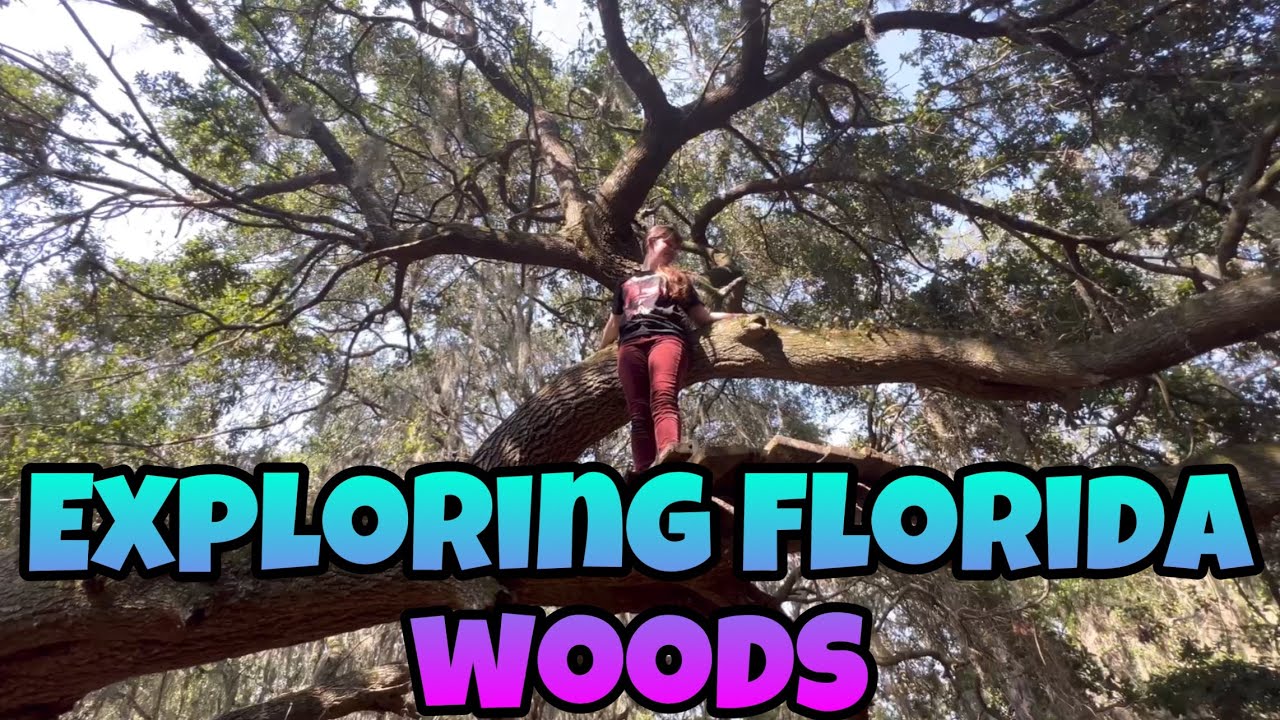 Exploring Florida woods!! - YouTube