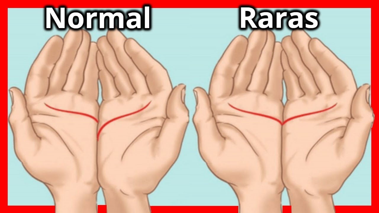 ¿Pueden las lineas de las manos revelar tu personalidad y sentimientos ...