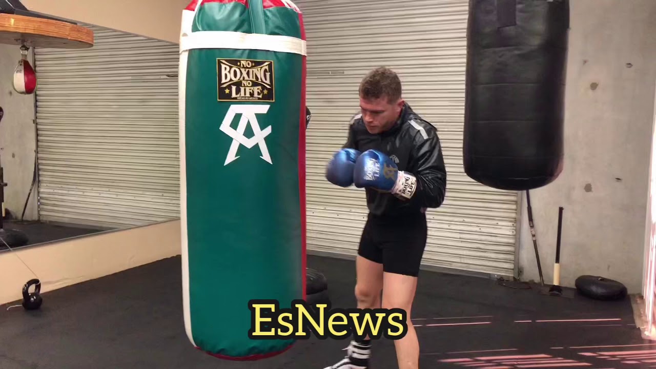 Canelo Landing Monster Shots On Heavybag days after winning 4th ...