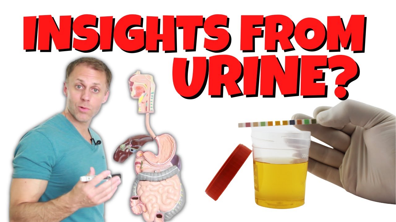 What Can You Learn From Your Urine - YouTube