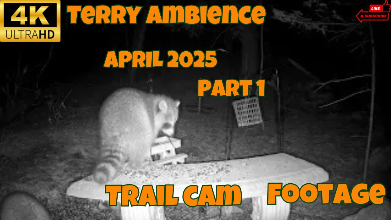 Trail Camera Footage April 2025 Part 1 Final - YouTube