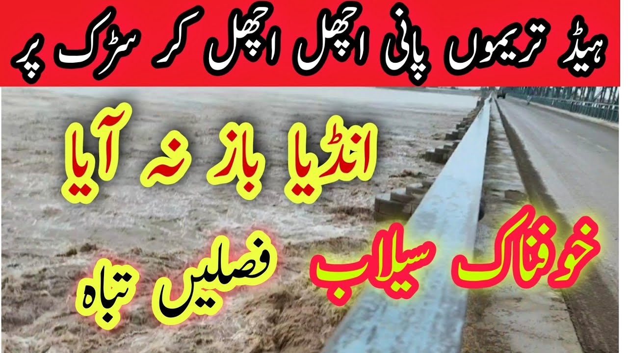 Head trimu flood||Head trimu jhang flood||chota kisan||punjabi vlog2021 ...