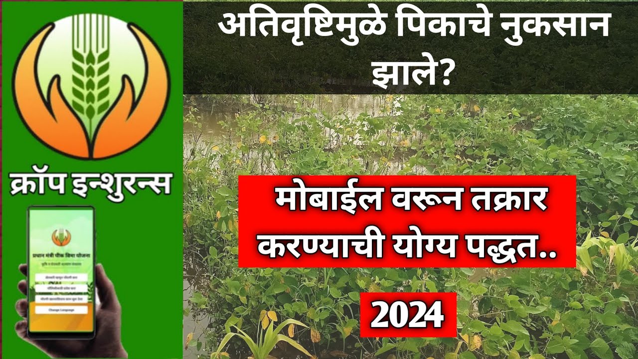 Crop insurance claim process 2024 | अशी करा पीक नुकसाभरपाईची तक्रार ...