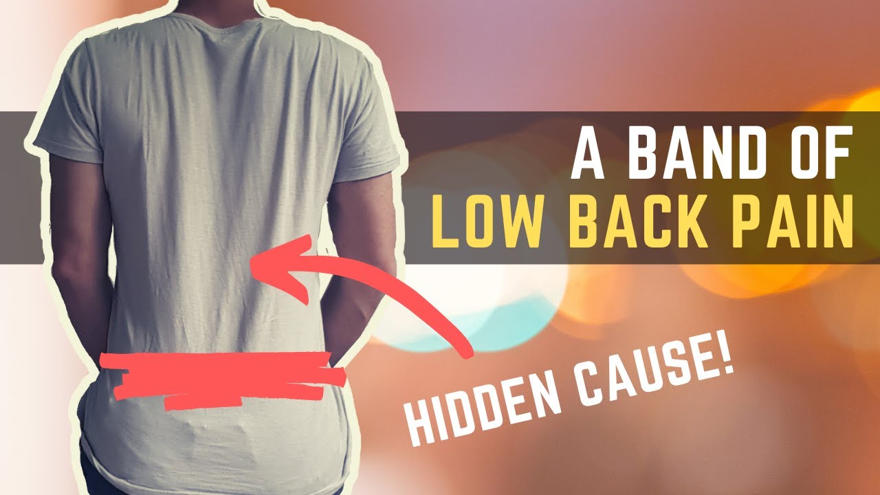 Top 3 Exercises for a Band of Low Back Pain - YouTube