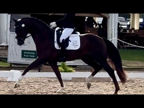 Fire Kracka and Ruby Hughes at British Dressage National Championships ...