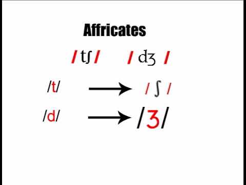 Affricates 2 :phonetics course - YouTube