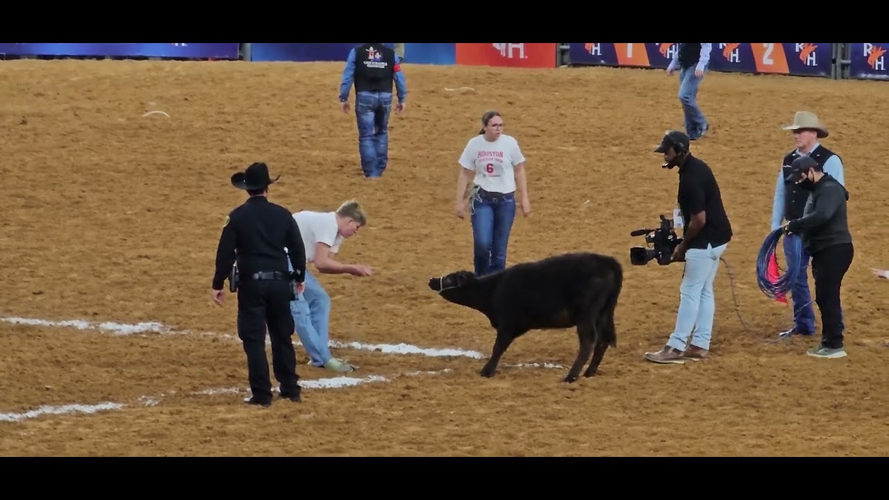 Calf Scramble on Night #6 of Houston Rodeo 2023 - YouTube