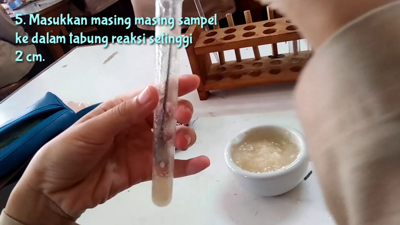 Praktikum Uji Amilum, Glukosa, Protein dan Lemak pada makanan - YouTube