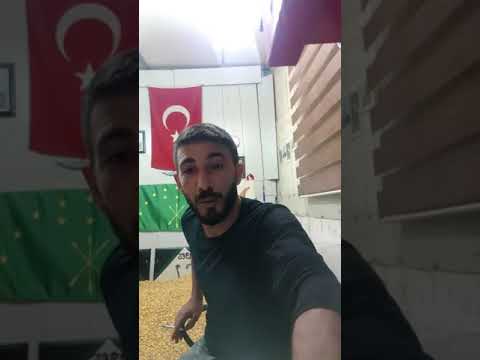 HİNT TV  KONUK: MARAŞLI MİKDAT AĞA  #HintTv #KafkasyaliFuatYilmaz