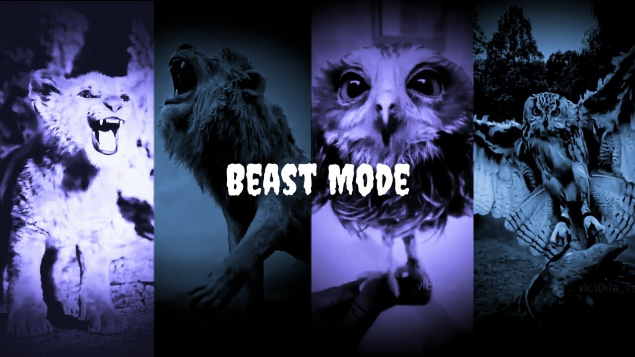 Animals transformation | Beast mode | Call me when you want - YouTube