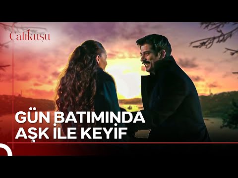 Her Gün Seninle Aysın İstiyorum ❤️ | Çalıkuşu