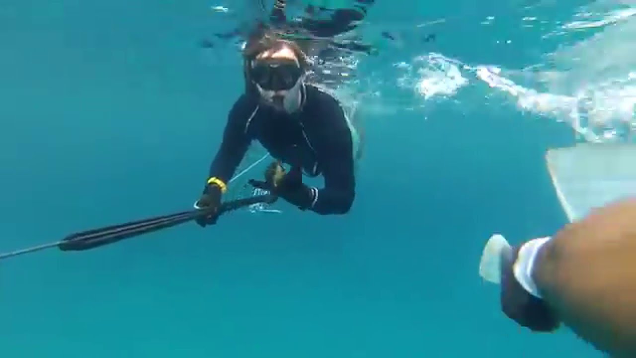 Free Diving 50 Feet Kona, Hawaii - YouTube