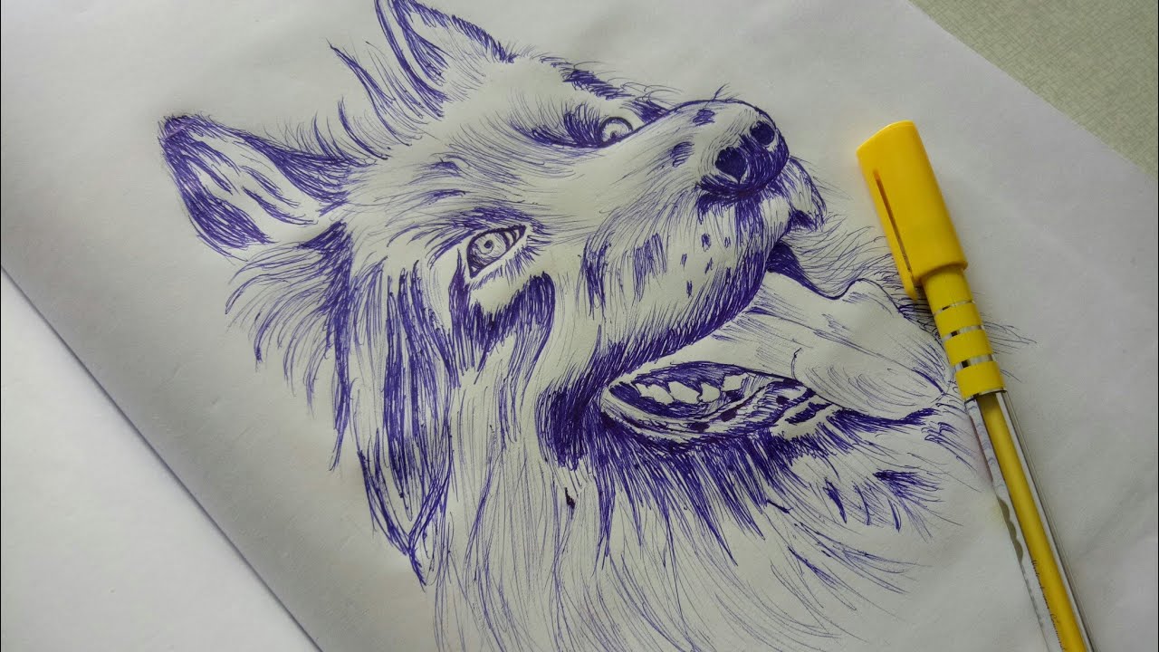 Dog Drawing Using Ballpoint Pen || Ballpen Drawing For Beginners Step ...