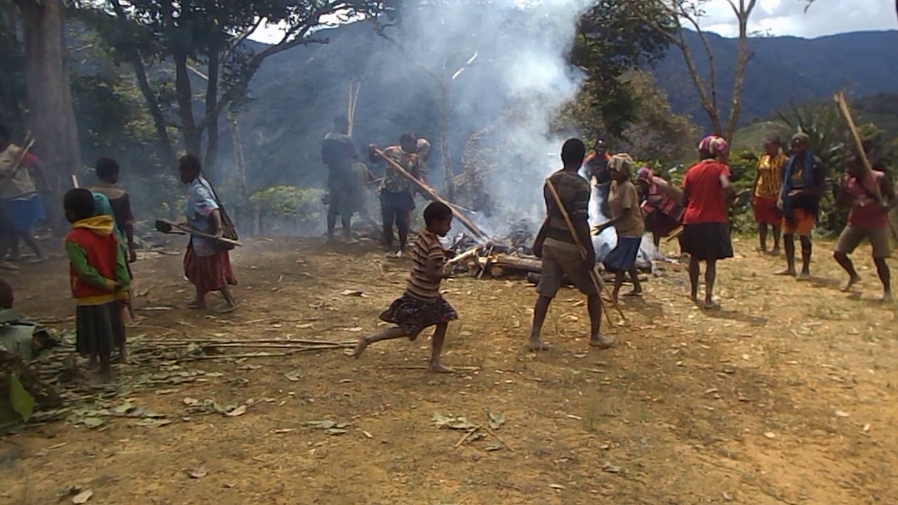 BAKAR BATU KAMPUNG YUMAUWO KAB PANIAI PAPUA - YouTube