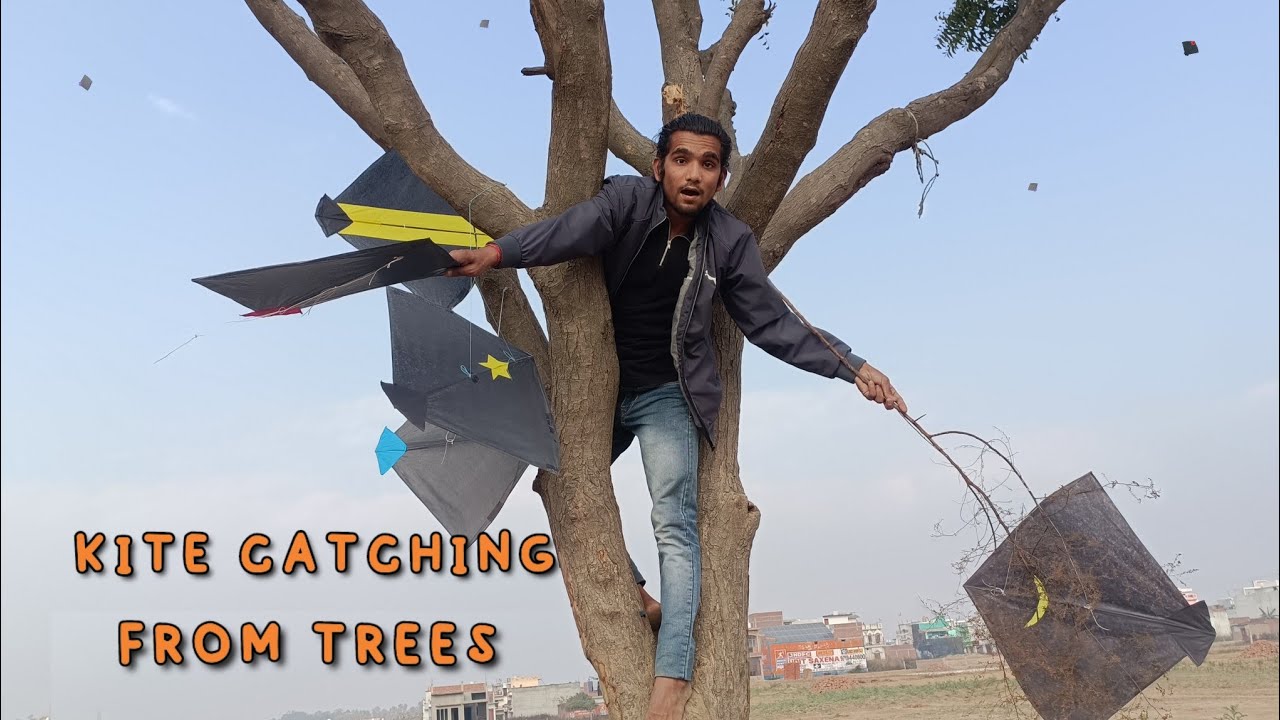 Kite Catching From Tree's 😋 | Kite looters | Kite Catching tricks - YouTube