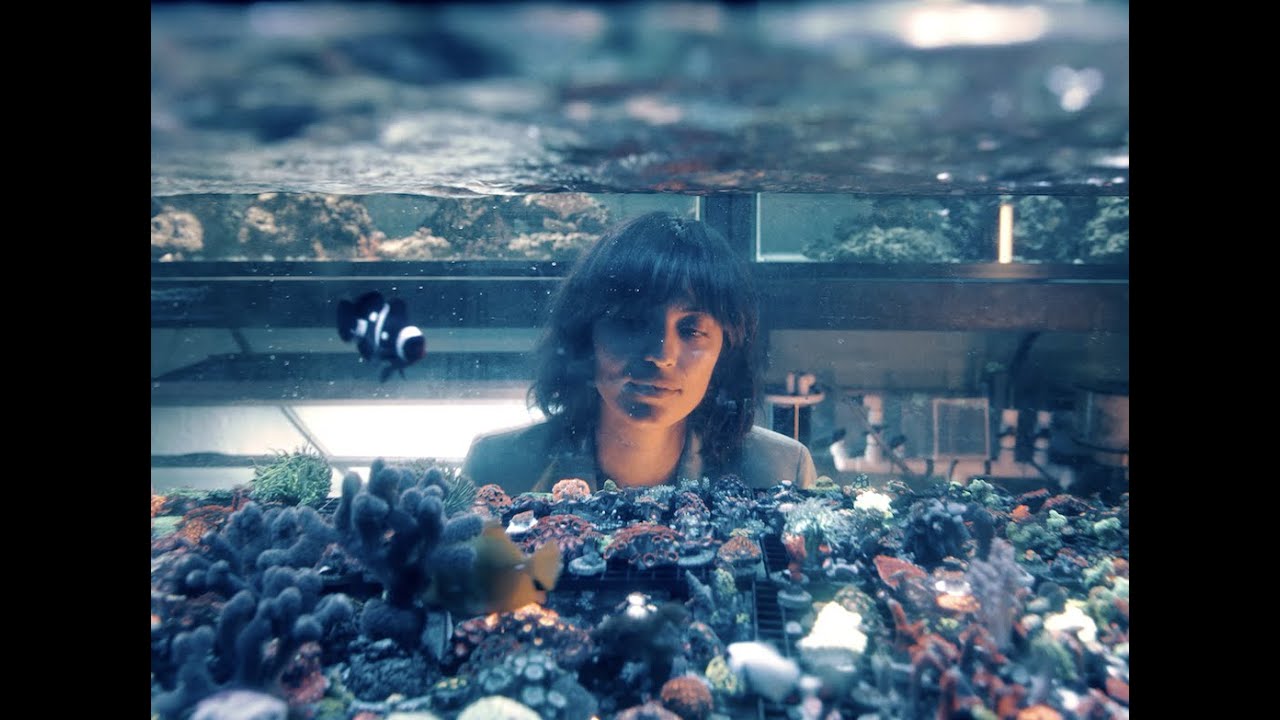 Blue Wilson - "Underwater Dance" (Official Video) - YouTube