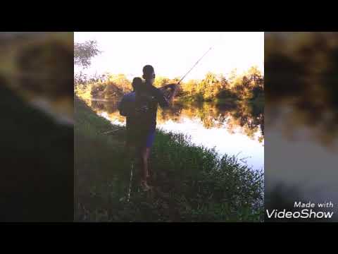 Tucunarés na represa Marcelo Pedroni - YouTube