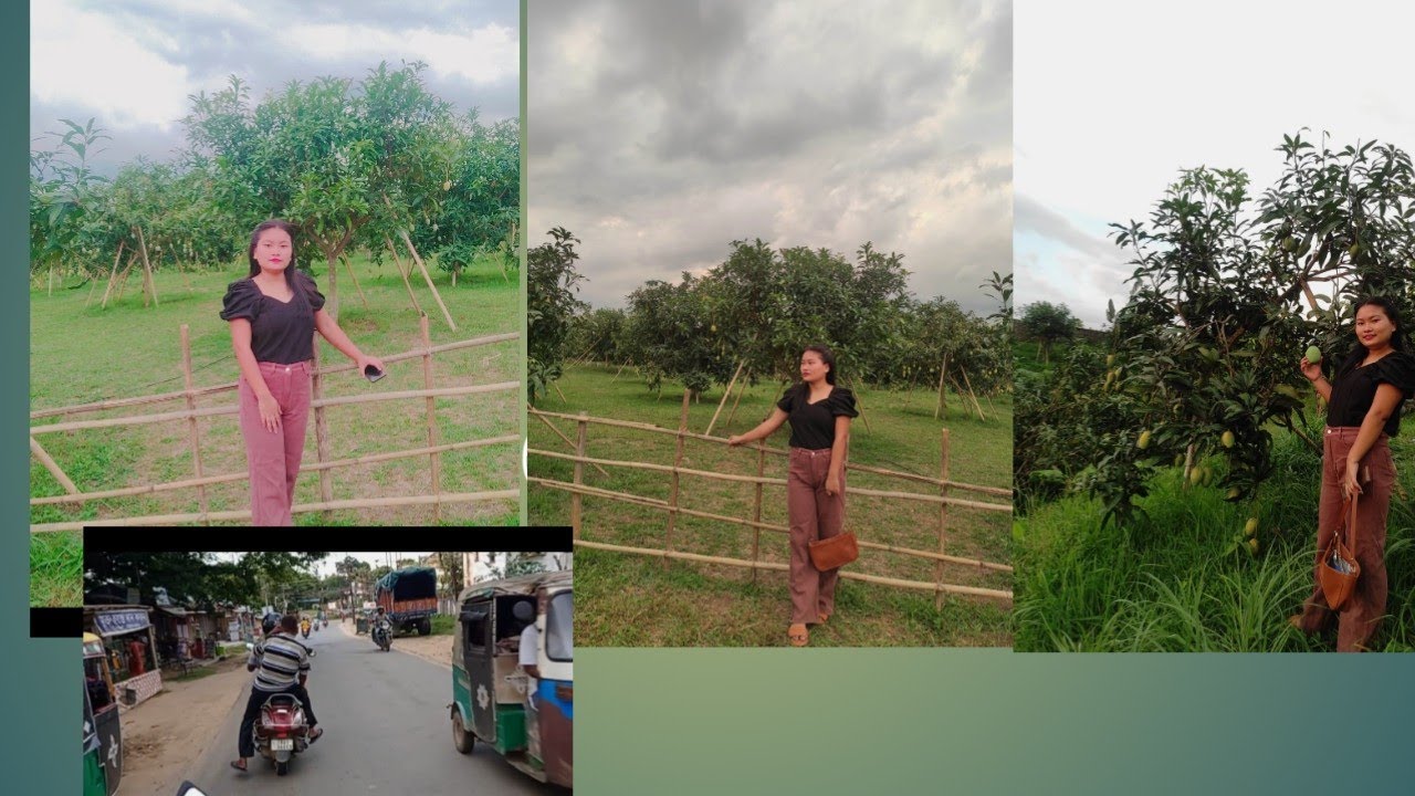mango garden ni thangma ni tini tongthok sokha ll pinki Debbarma vlog ll - YouTube