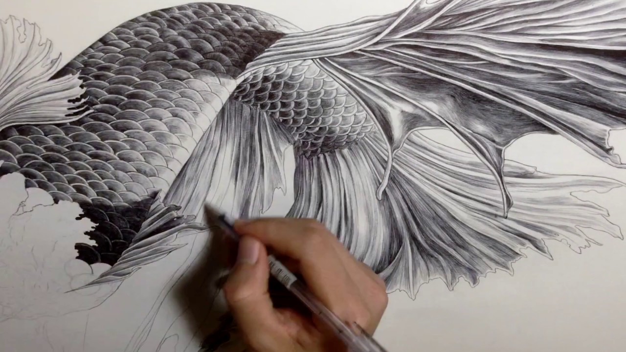 Death Fish drawing by Chamo San - YouTube