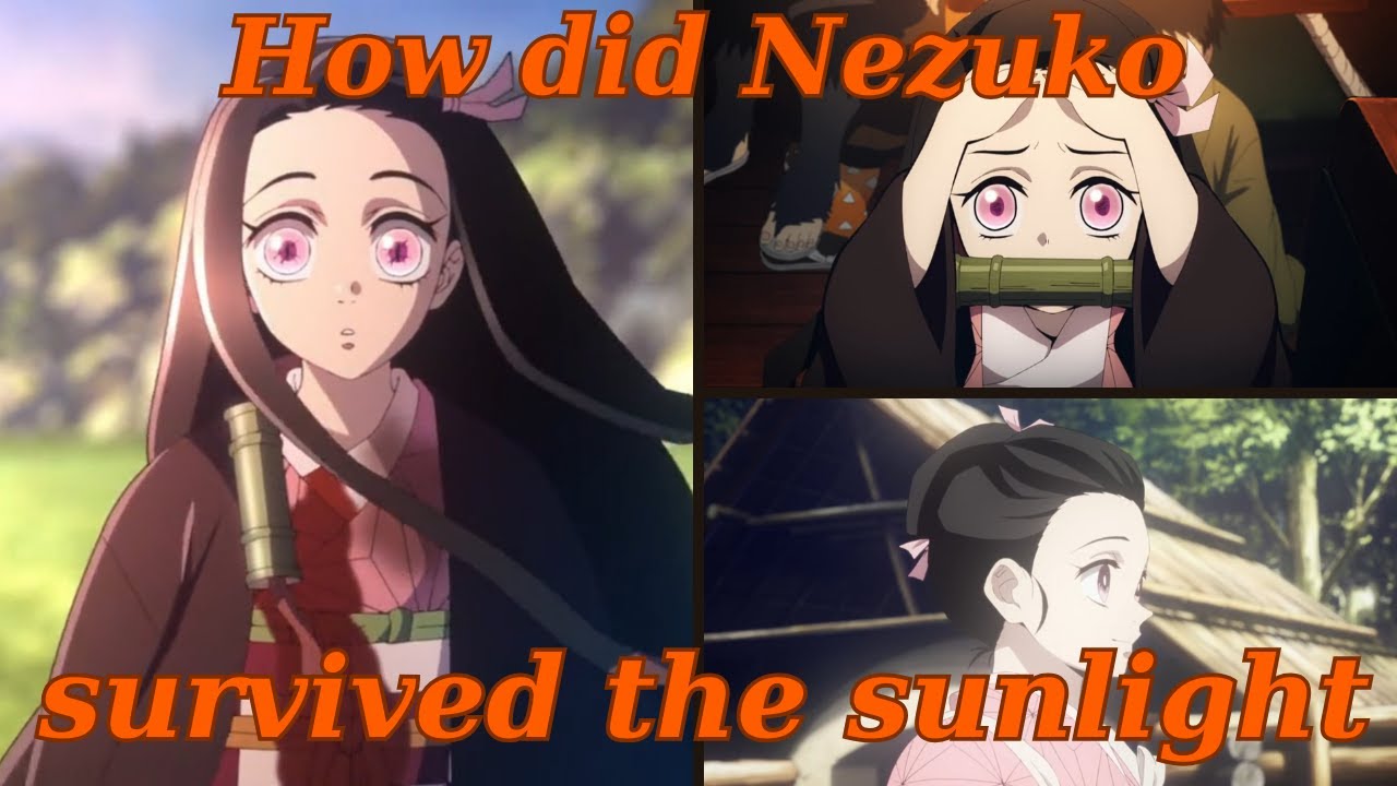 How did Nezuko survived the sunlight in Demon Slayer - YouTube