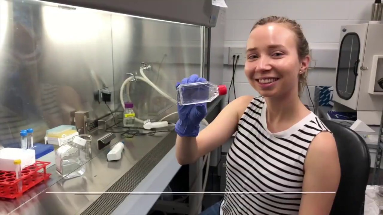 Cornell BME 15 Years - YouTube